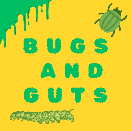 Bugs & Guts Club Spring 2024 | The Inspired Child